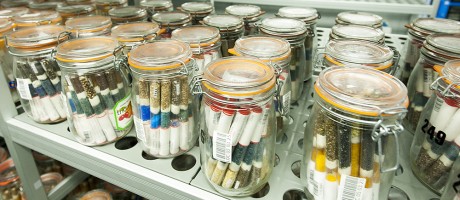 'Banco de Germoplasma Vegetal de la UPM' - Inicio